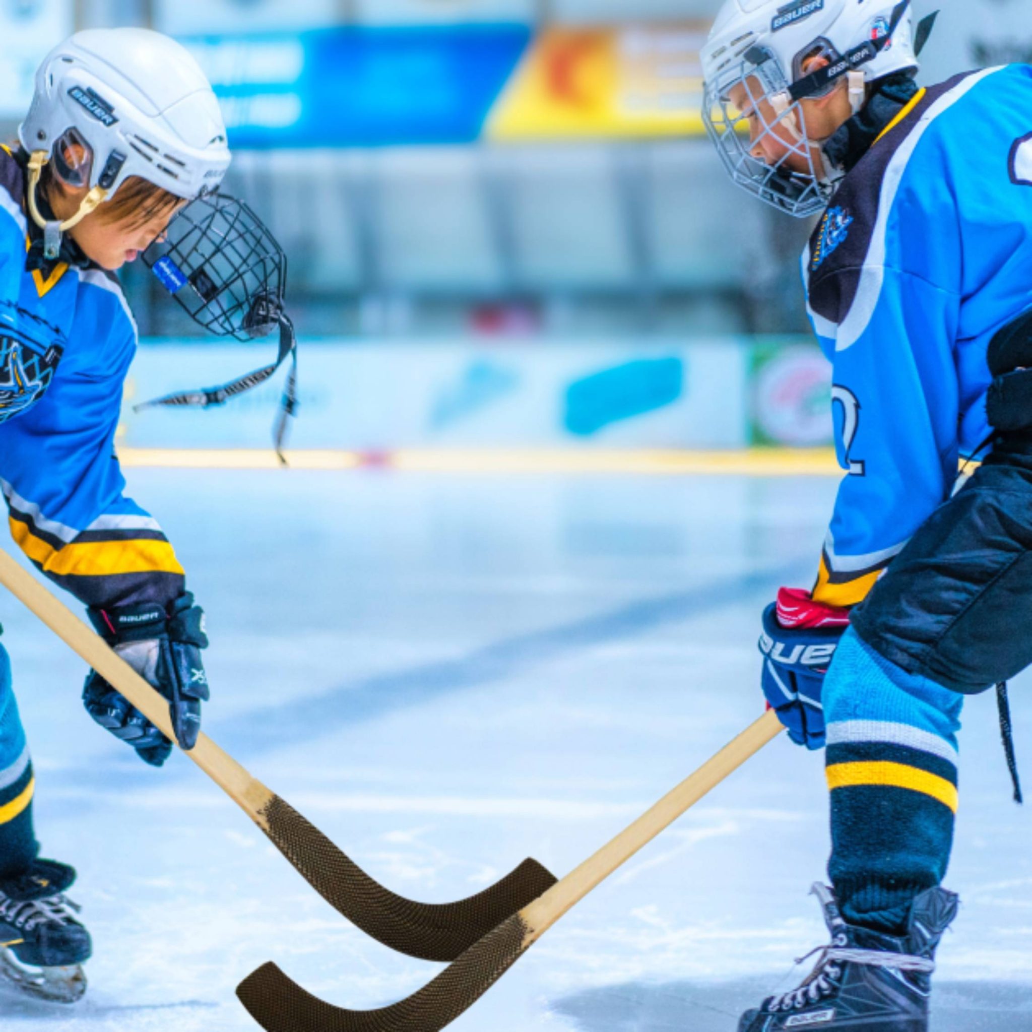 Découverte d’un sport: Le bandy, un sport bizarre, mais surtout palpitant!